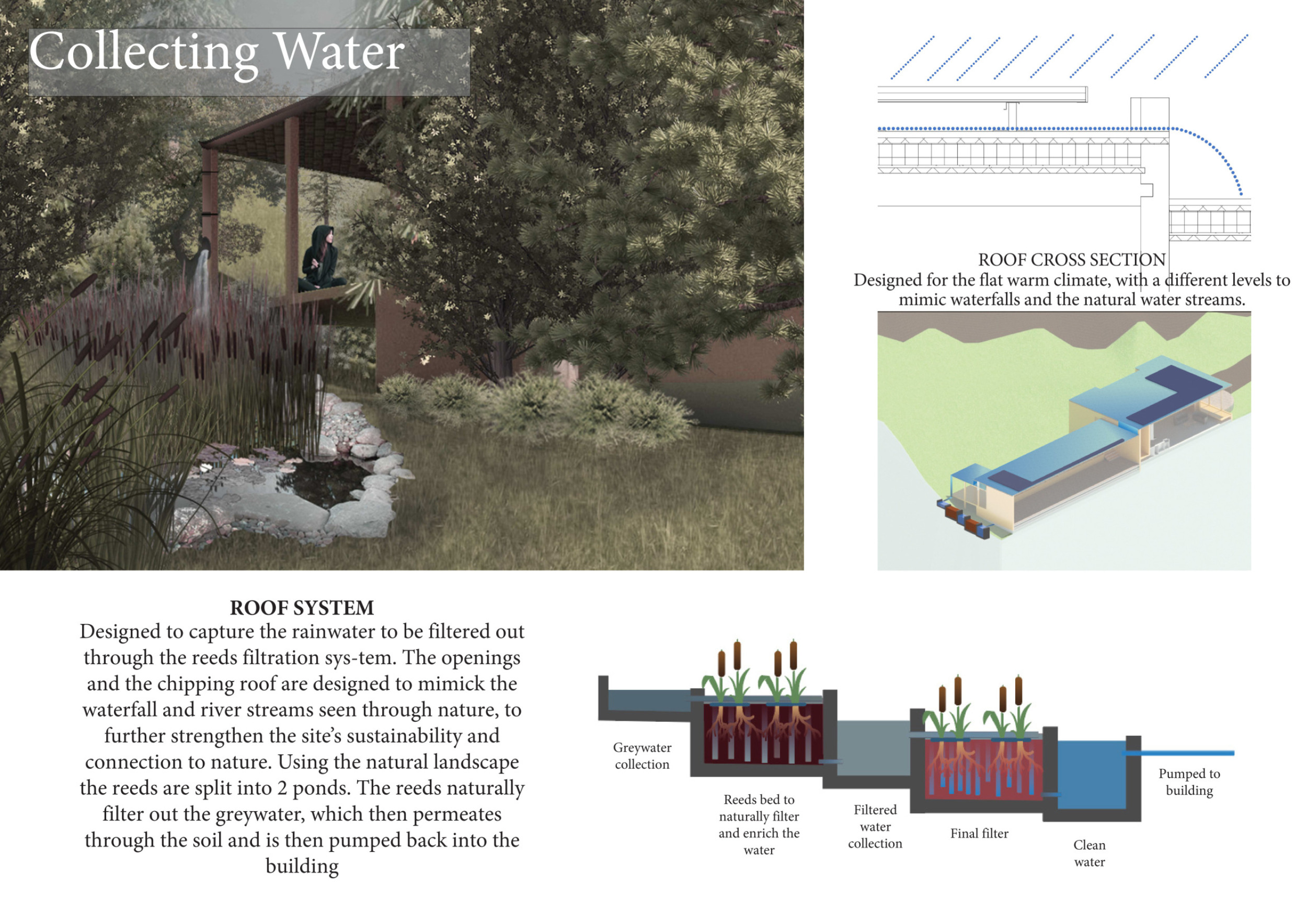 Architecture project // Reed Filtration and Hanging Courtyard in a ...