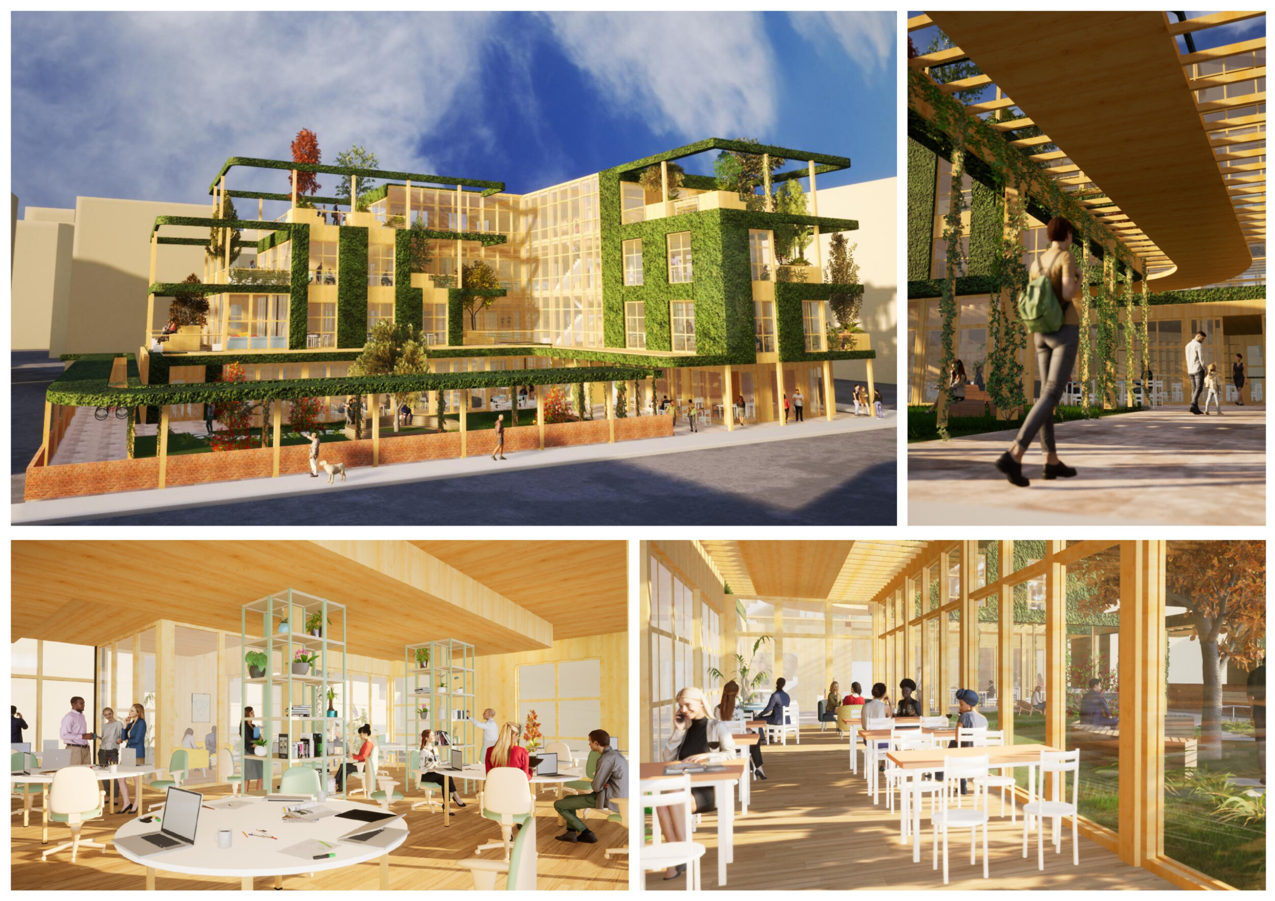 Architecture project // Green Terraces Enveloped in Timber and Glass ...