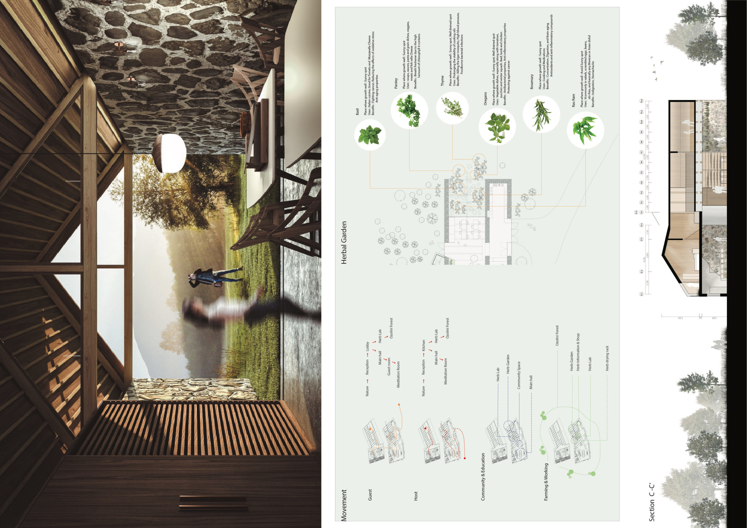Architecture project // Herb Lab Integration with Wooden Walls in ...