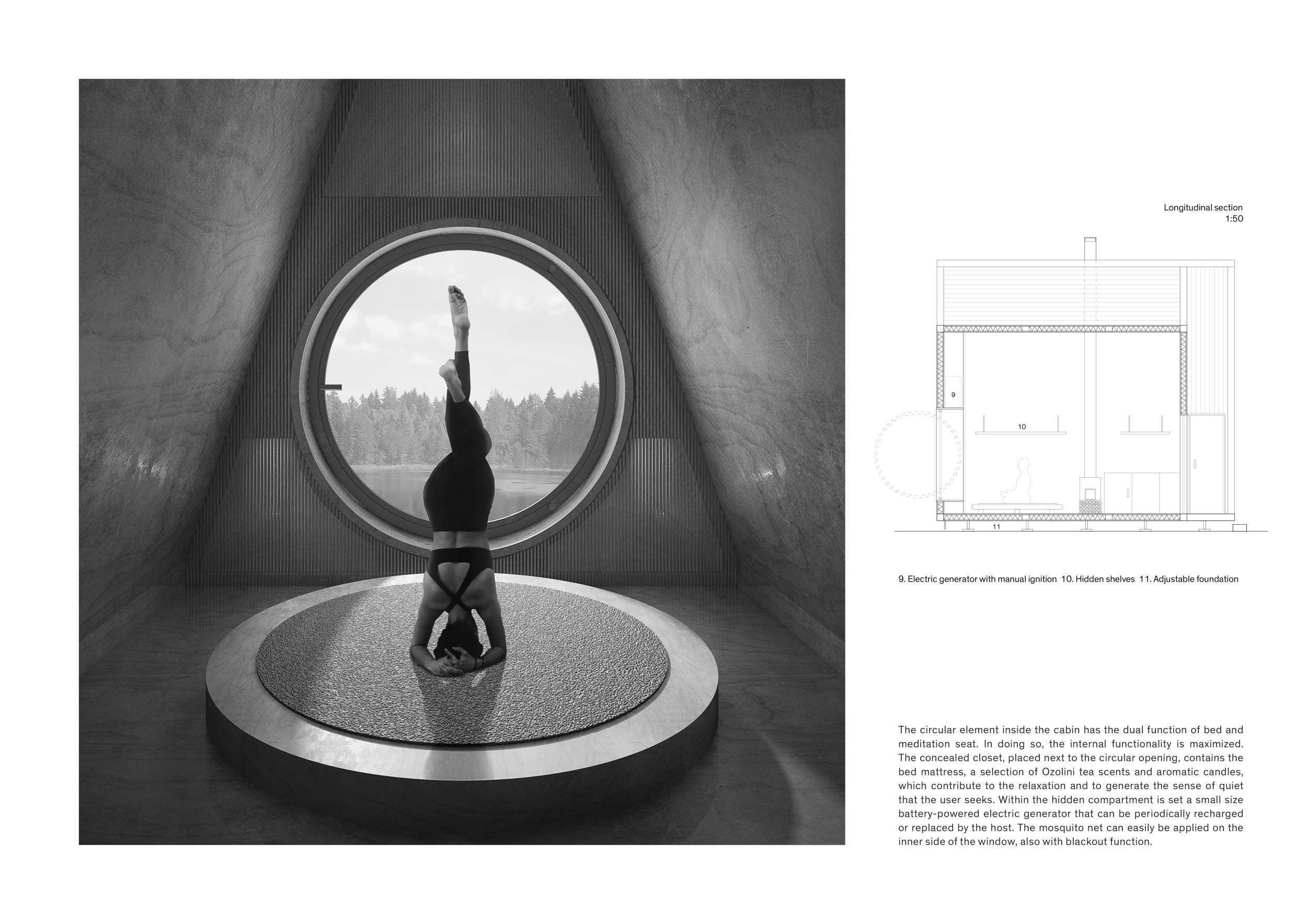 Architecture project // Circular Windows and Birch Wood Embrace in a ...