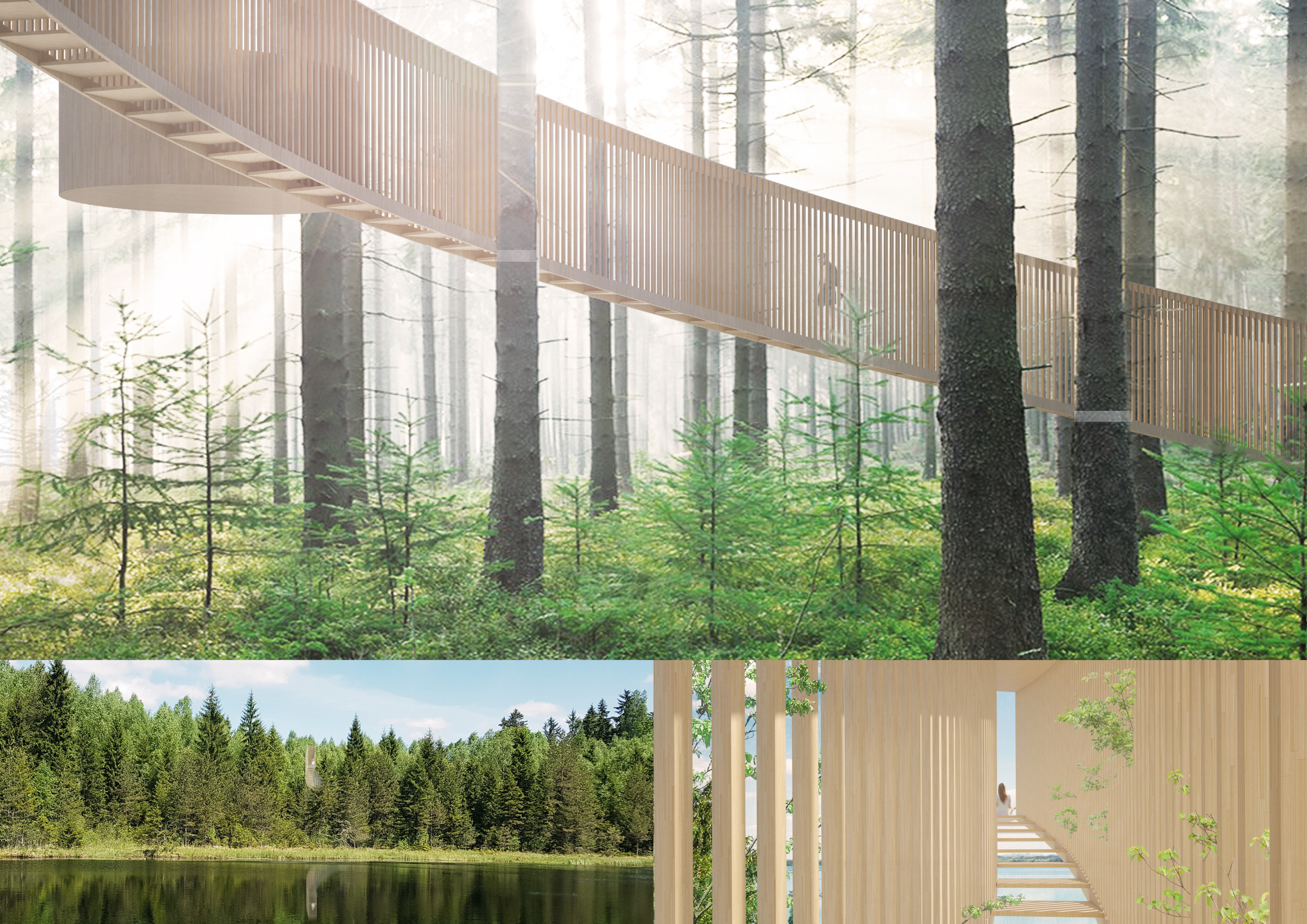 Architecture project // Elevated Pathway of Local Wood Connecting ...