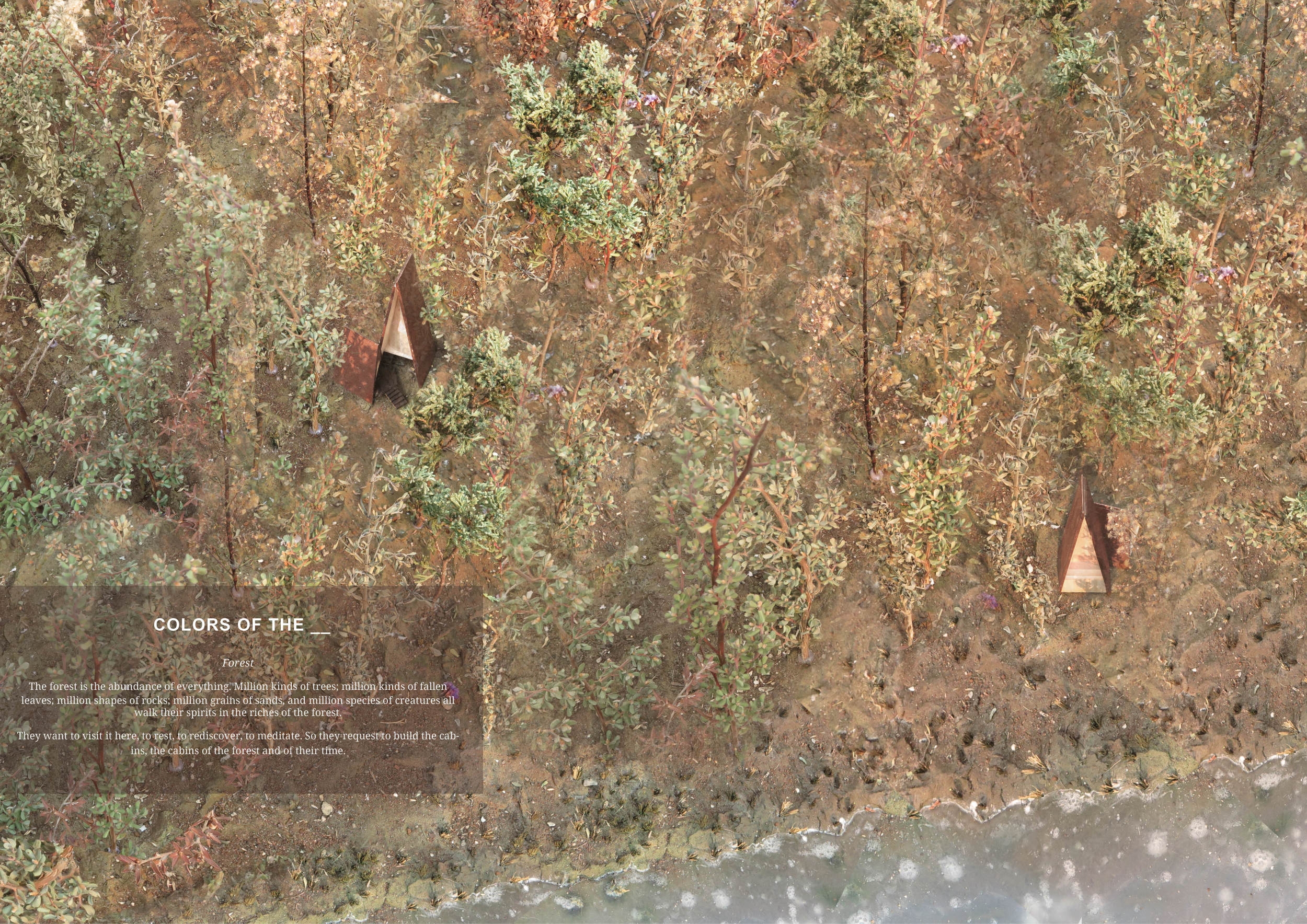 Architecture project // Triangular Void Cabin Made of White Pine and ...
