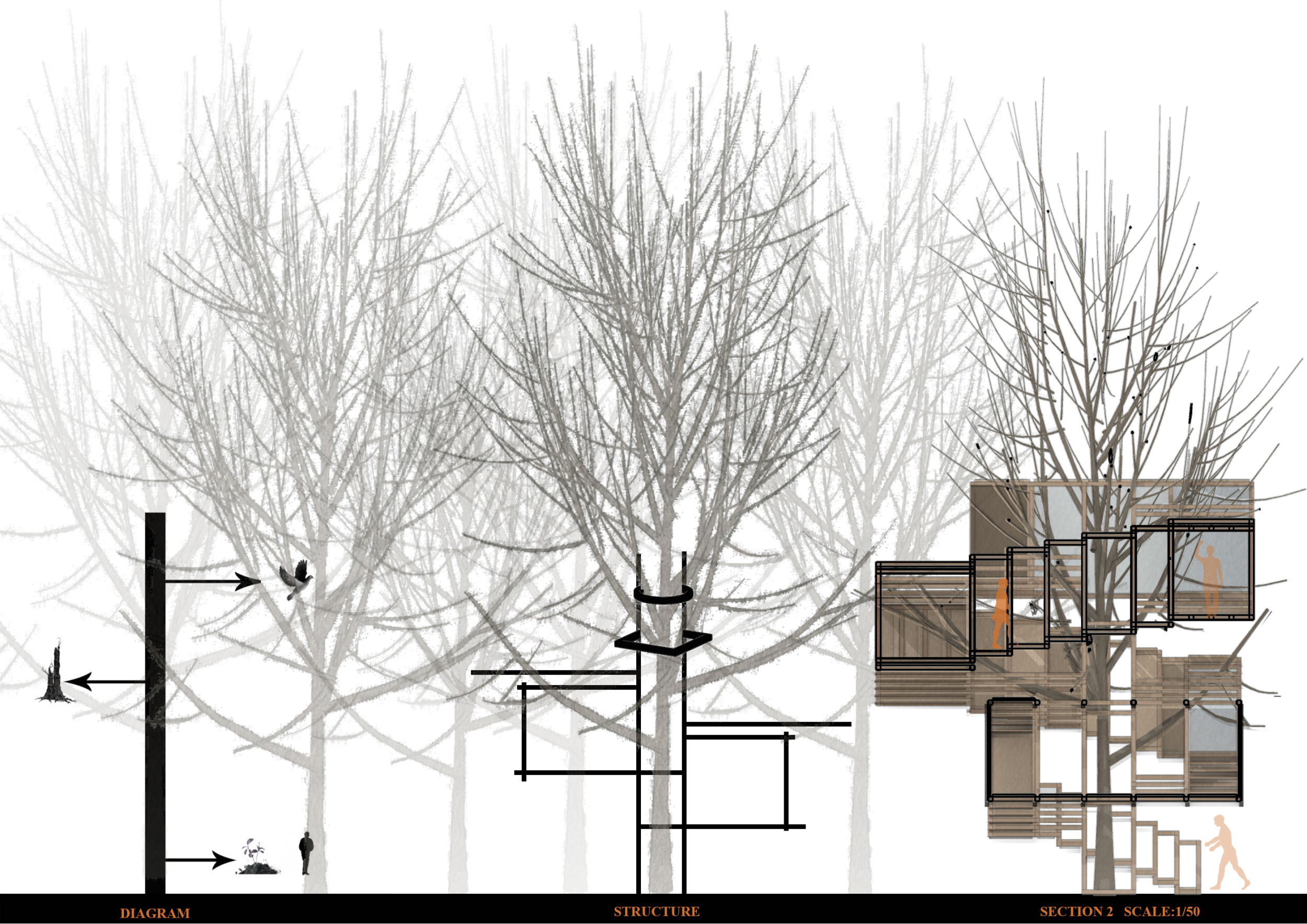 Architecture project // Trees Enveloped in Wood Creating an Immersive ...
