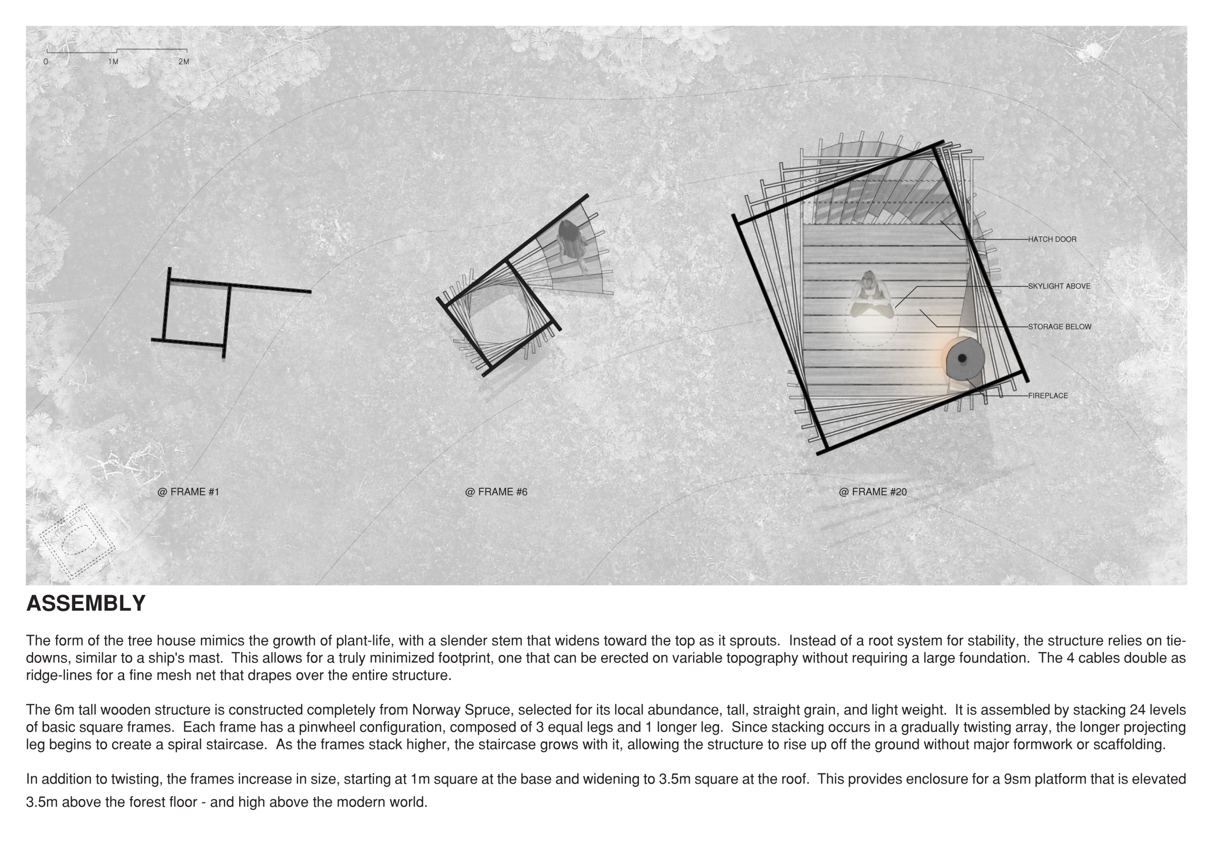 Architecture project // Cocoon Enclosure with Norway Spruce Emphasizing ...