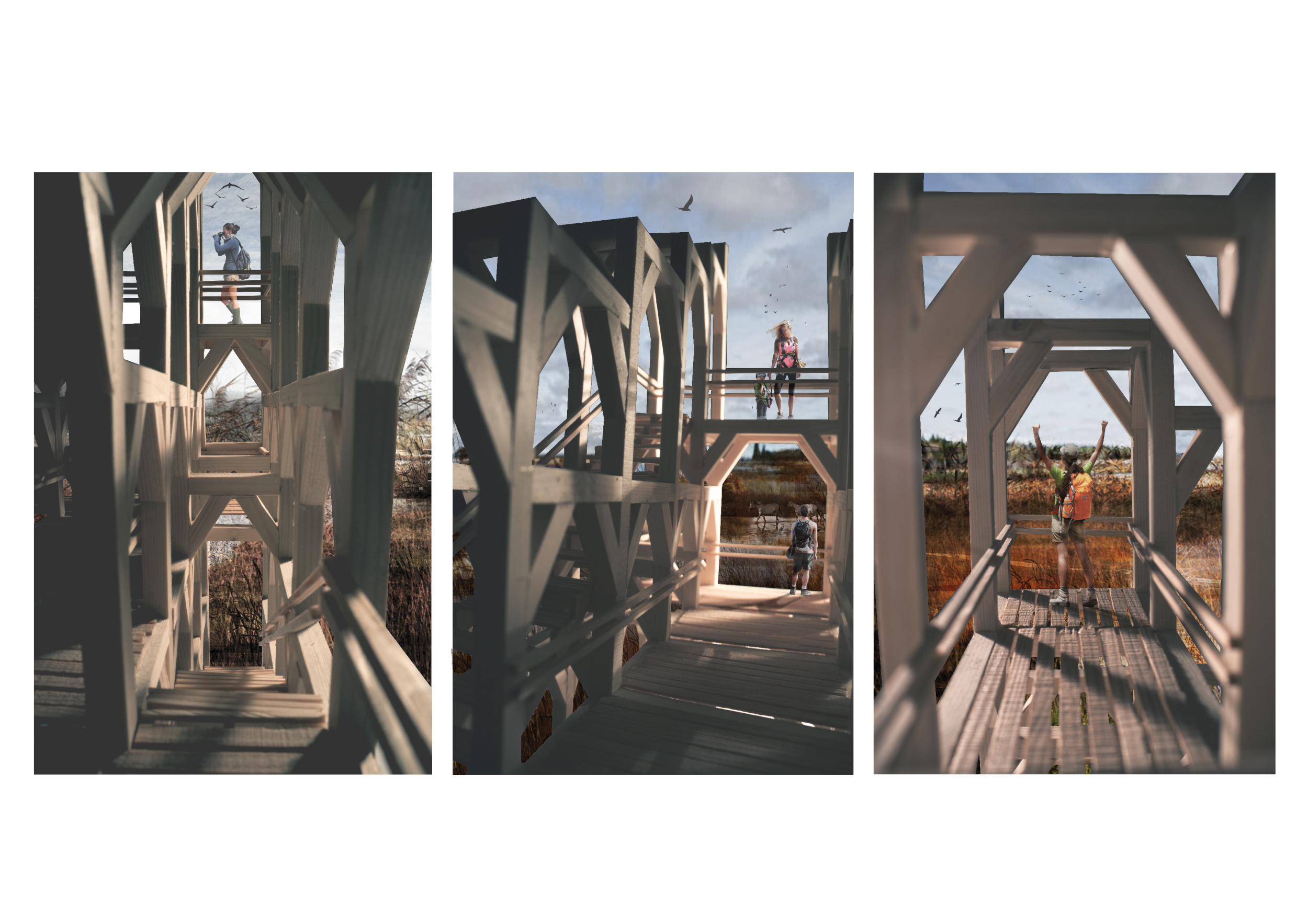 Architecture project // Elevated Observation Space Constructed with ...