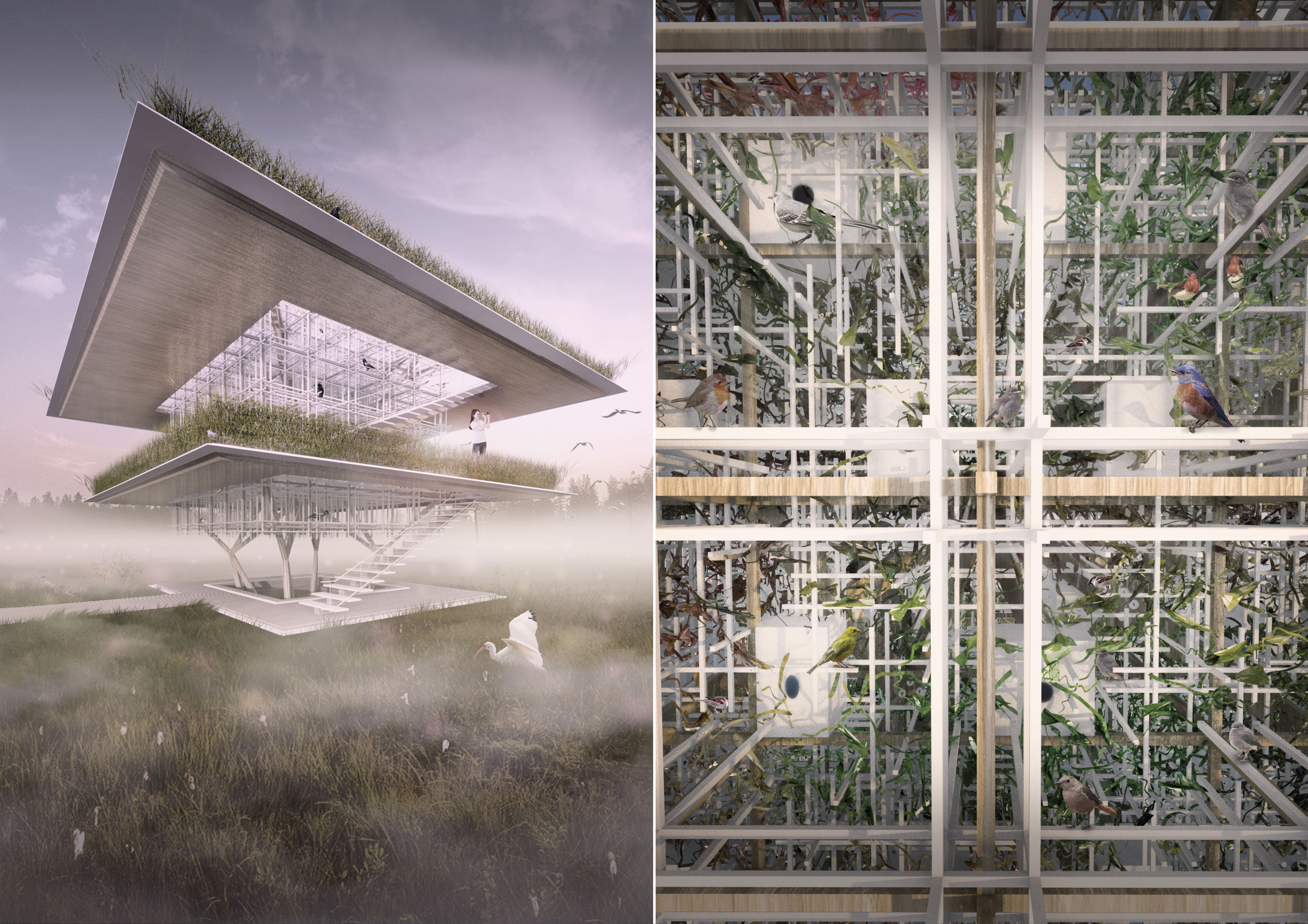 Architecture project // Elevated Observation Platform Featuring ...