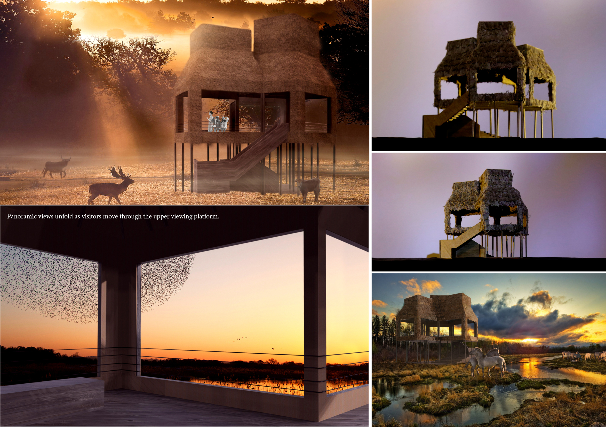 Architecture project // Thatched Roof Observation Platform Elevated ...