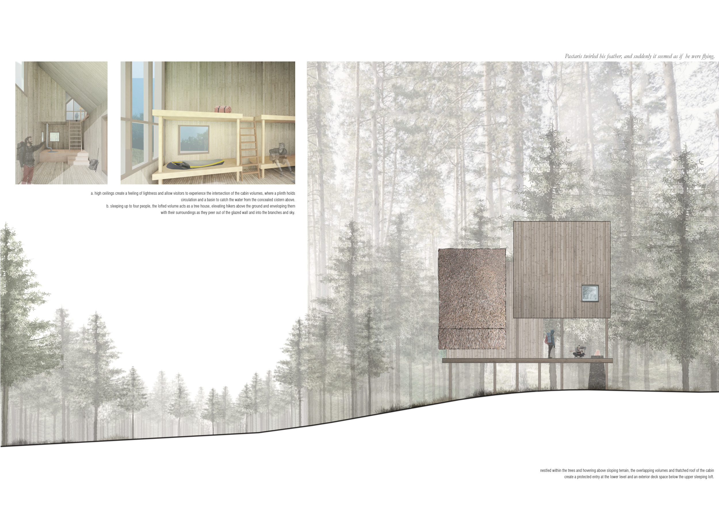 Architecture project // Thatching and Amber Hues Blending Native Timber ...