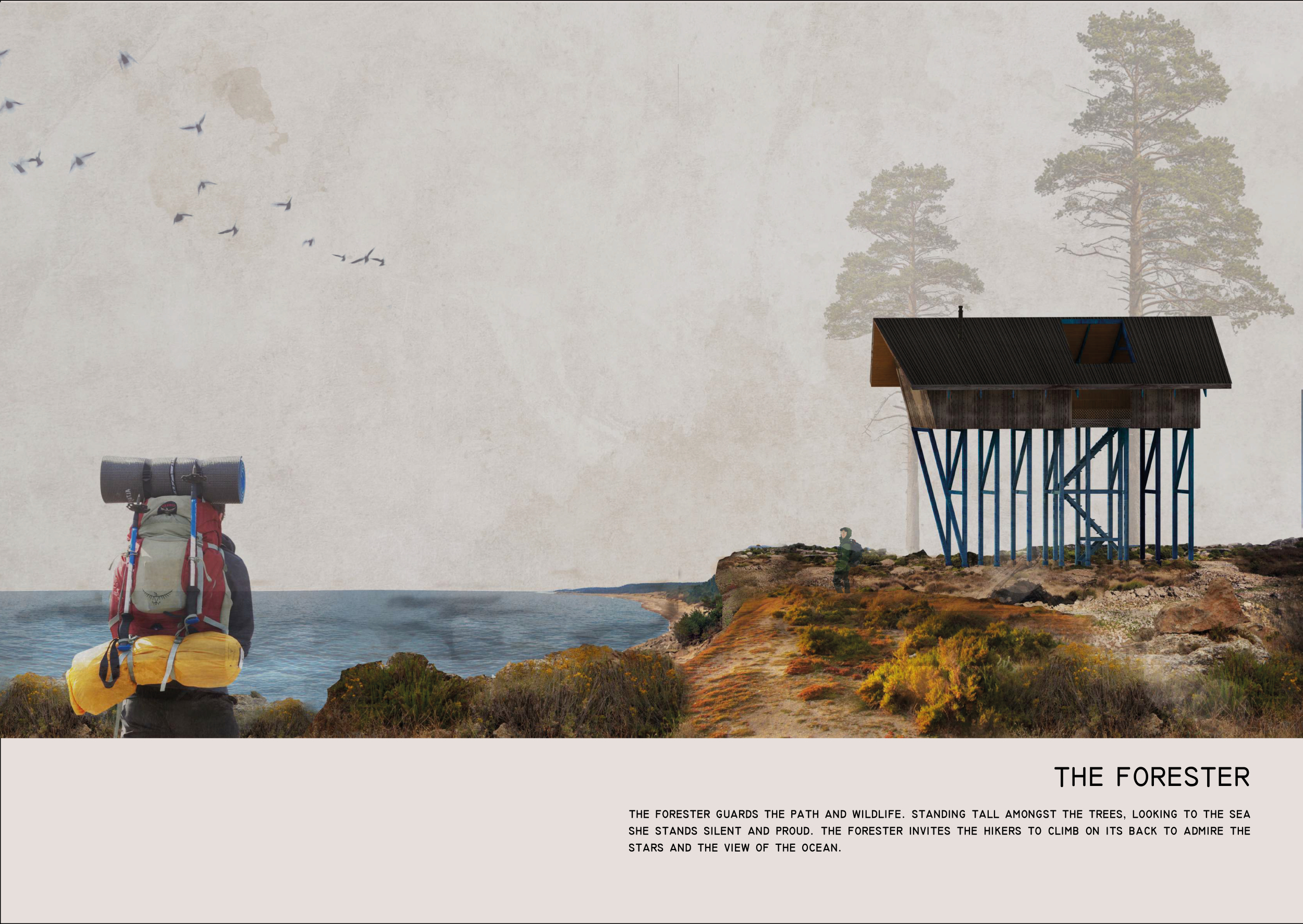 Architecture project // Elevated Cedar Shelter with Asymmetrical Roof ...