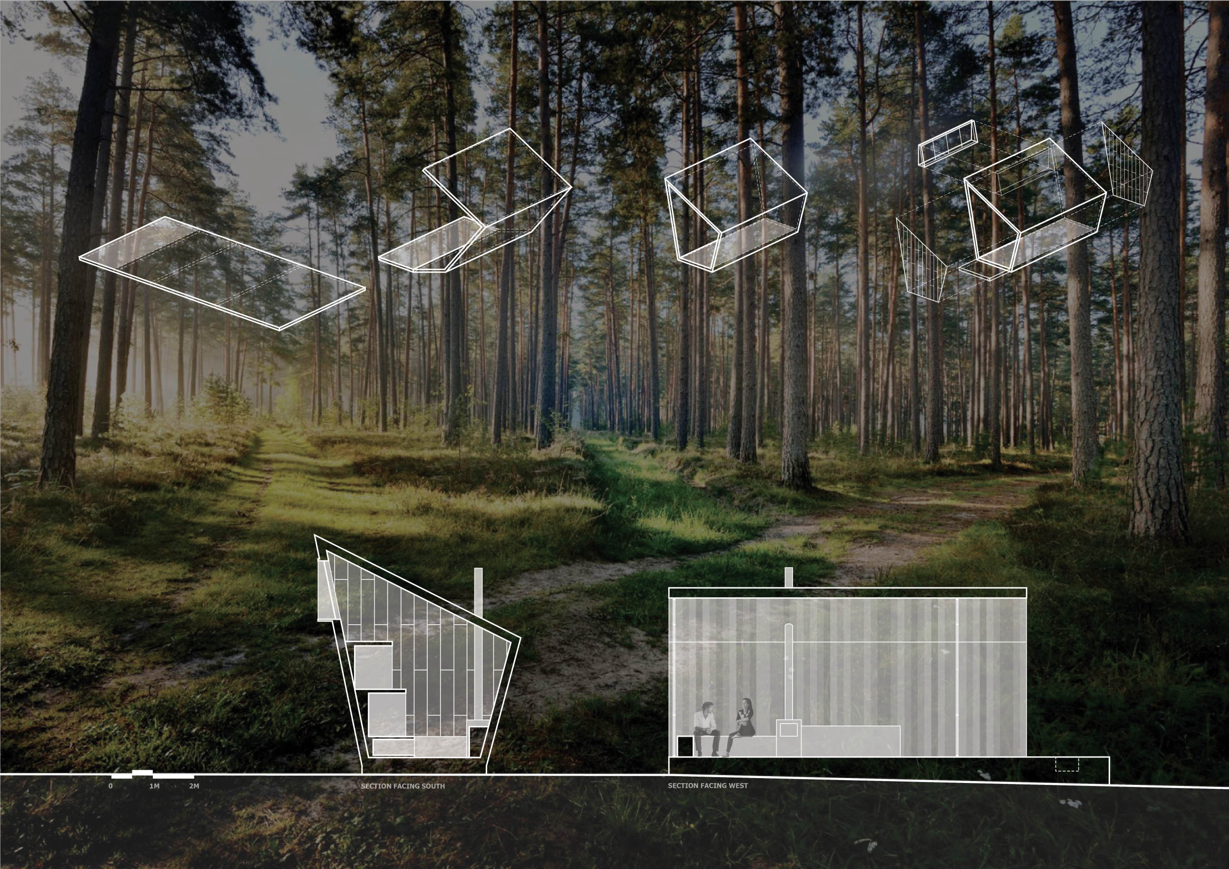 Architecture projects - pine forests // Buildner
