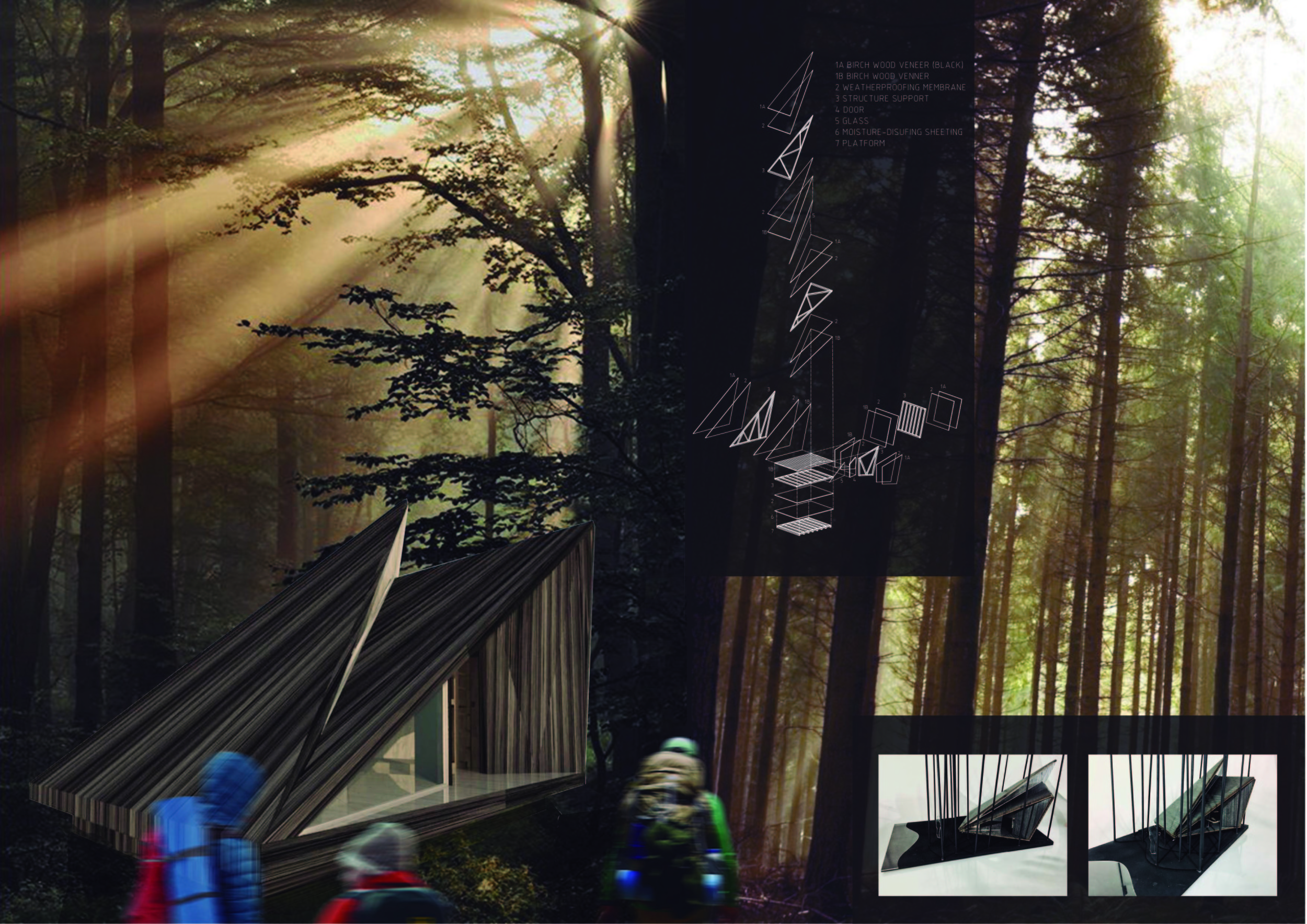 Architecture project // Embracing Natural Harmony with Slanted Birch ...