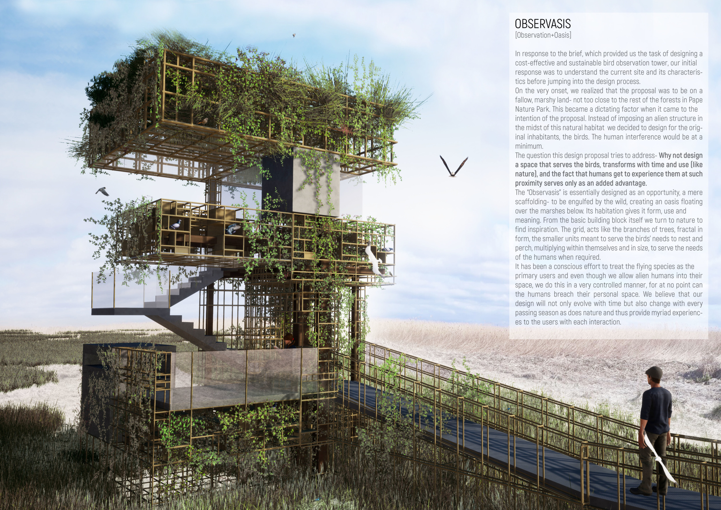 Architecture project // Charred Wooden Shingles and Locally Sourced ...