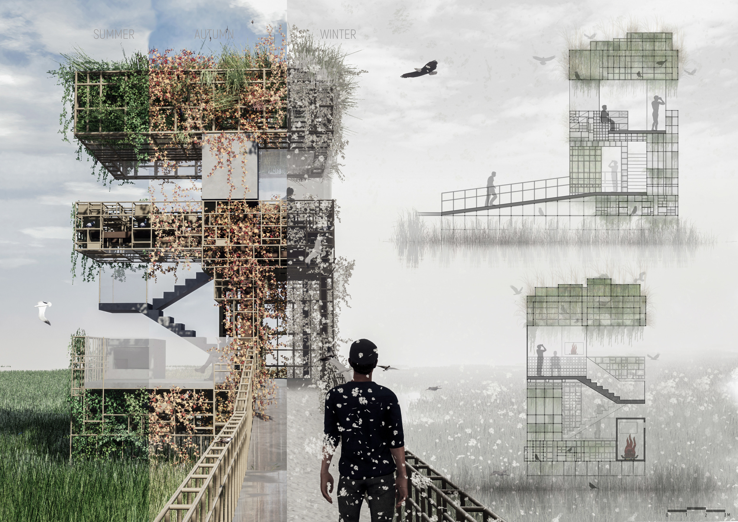 Architecture project // Charred Wooden Shingles and Locally Sourced ...