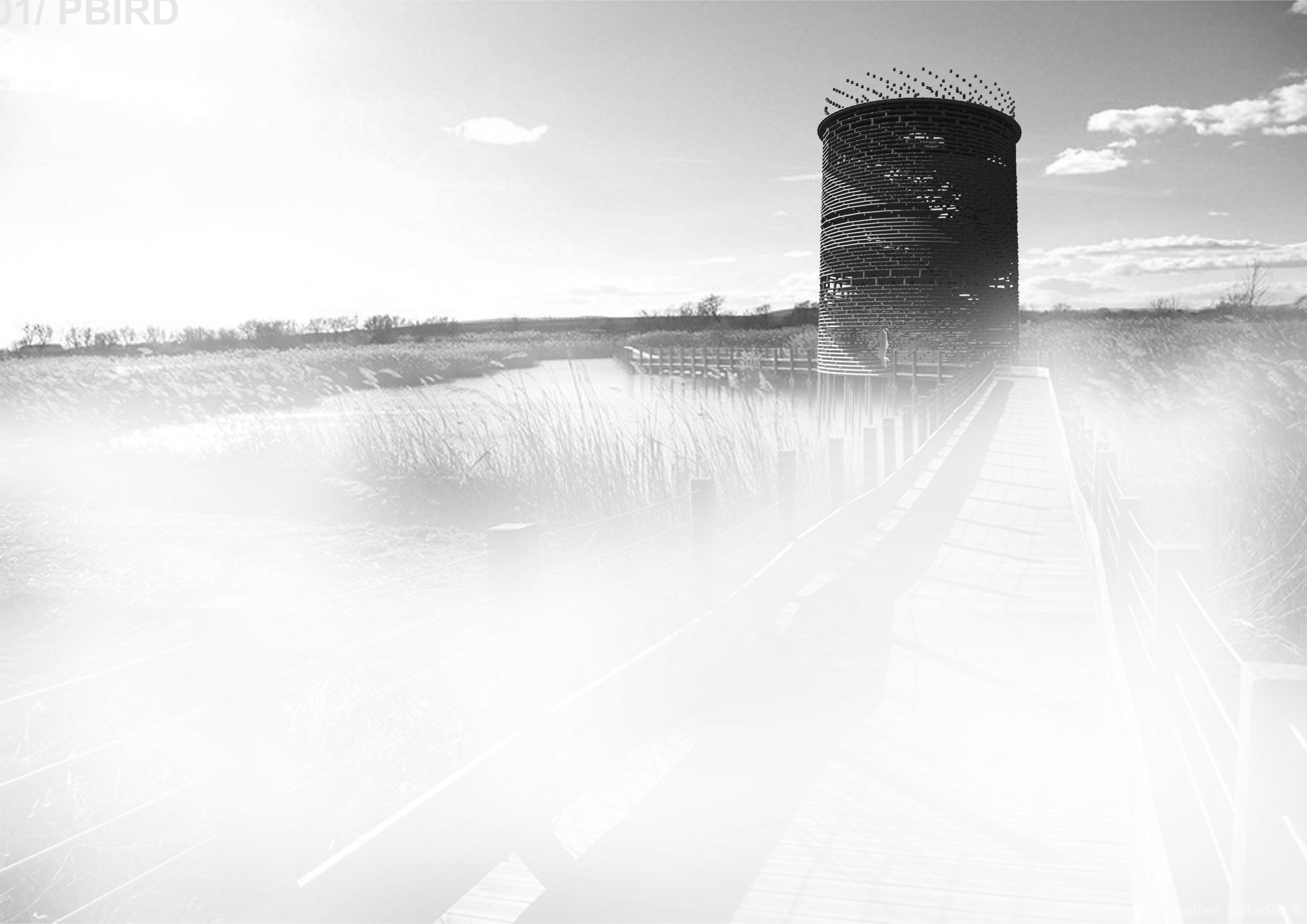 Architecture project // Timber Cylinders and Natural Light Create an ...