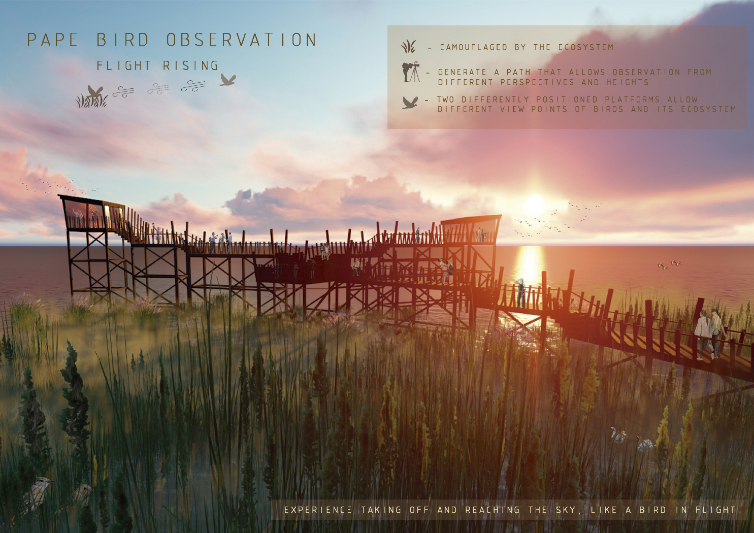 Architecture project // Elevated Observation Platforms Crafted from Local Pine in a Sustainable ...