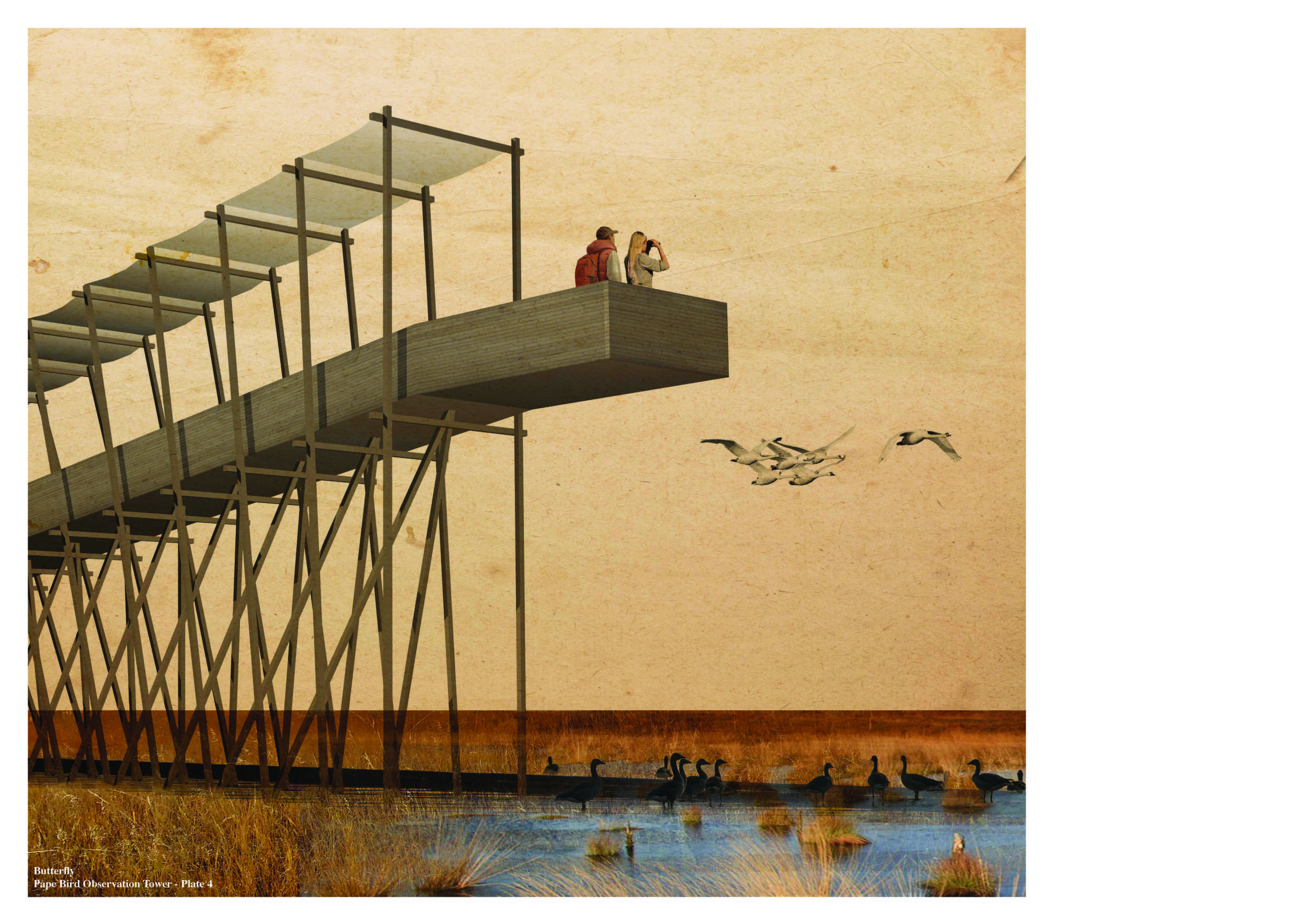 Architecture project // Treetop Observation Deck Constructed with ...