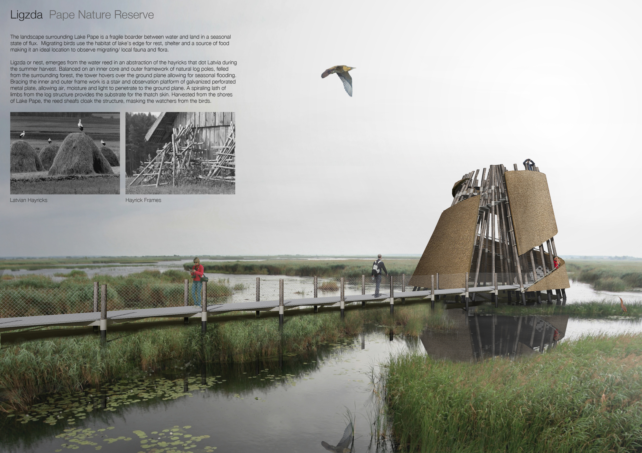 Architecture project // Spiral Observation Tower Framed with Local ...