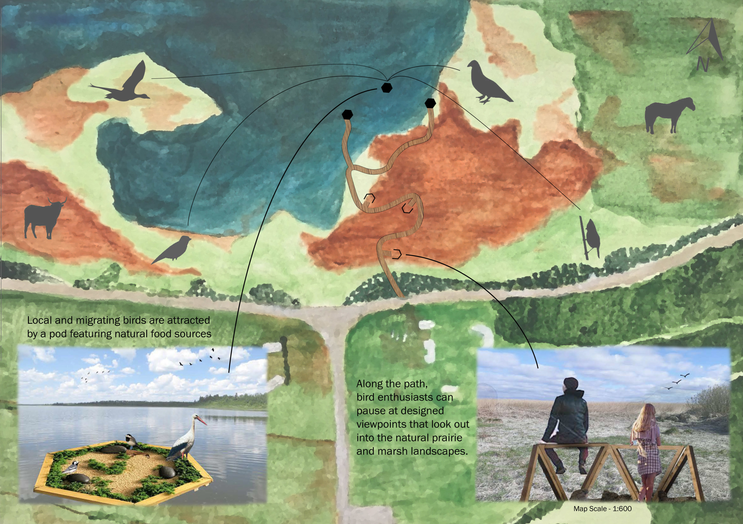 Architecture project // Floating Ecosystems and Curvilinear Pathways ...