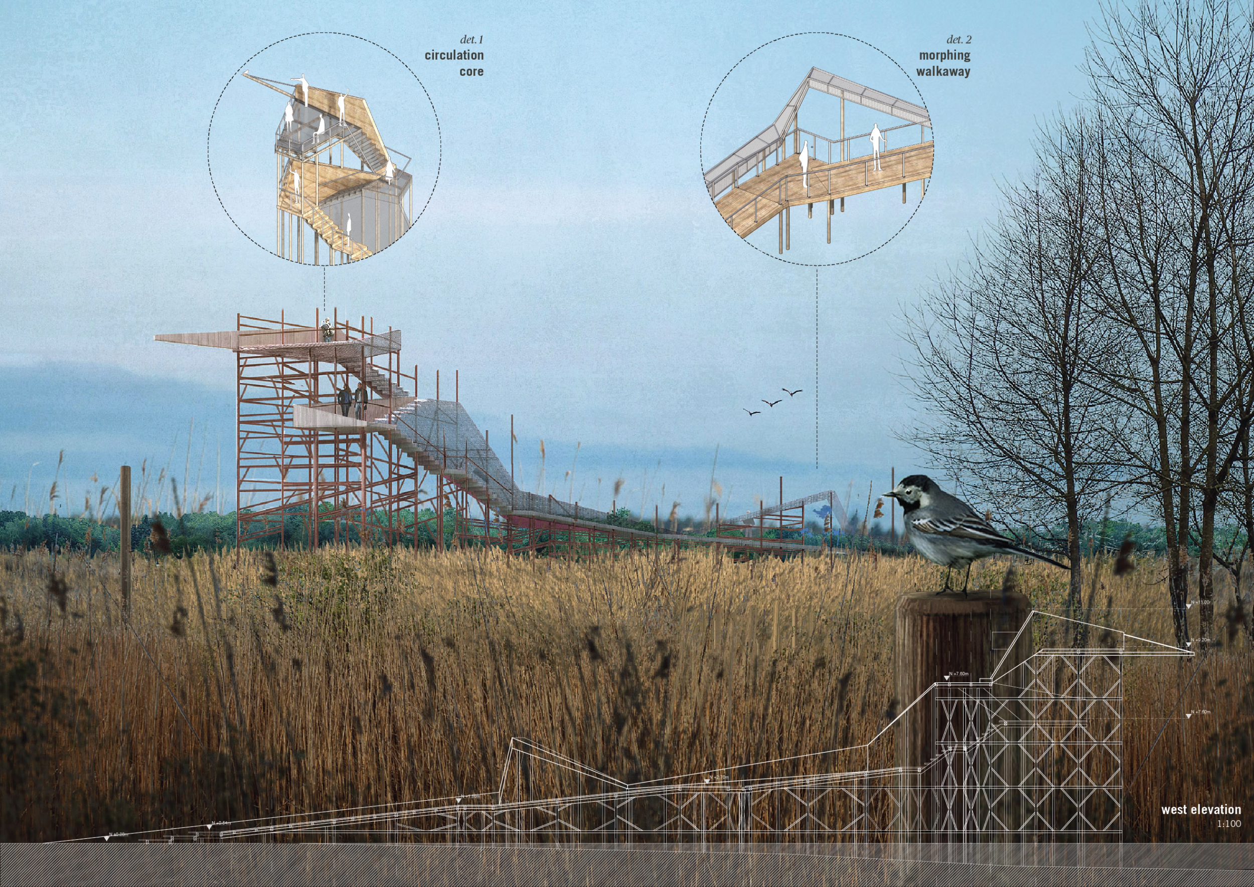 Architecture project // Curvilinear Observation Platform Featuring ...