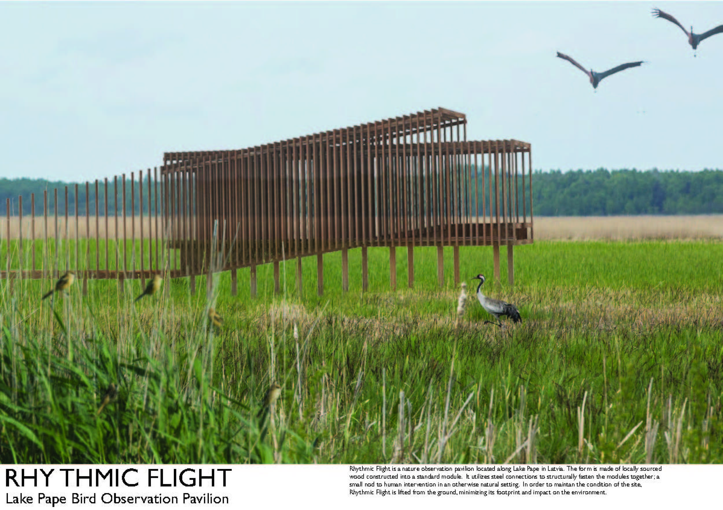 Architecture project // Elevated Viewing Platform Crafted from Locally ...