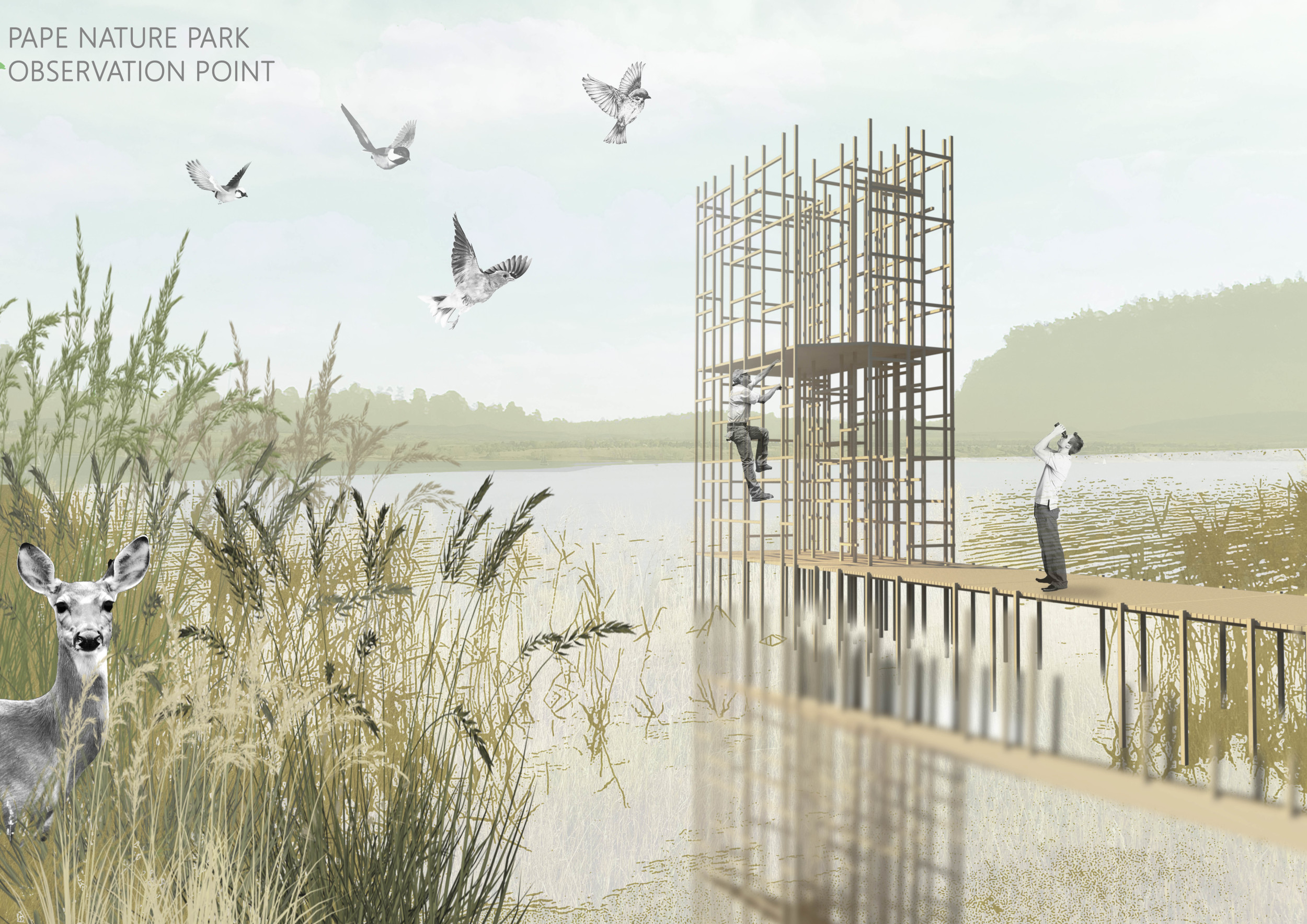 Architecture project // Elevated Lattice Platform Crafted from ...