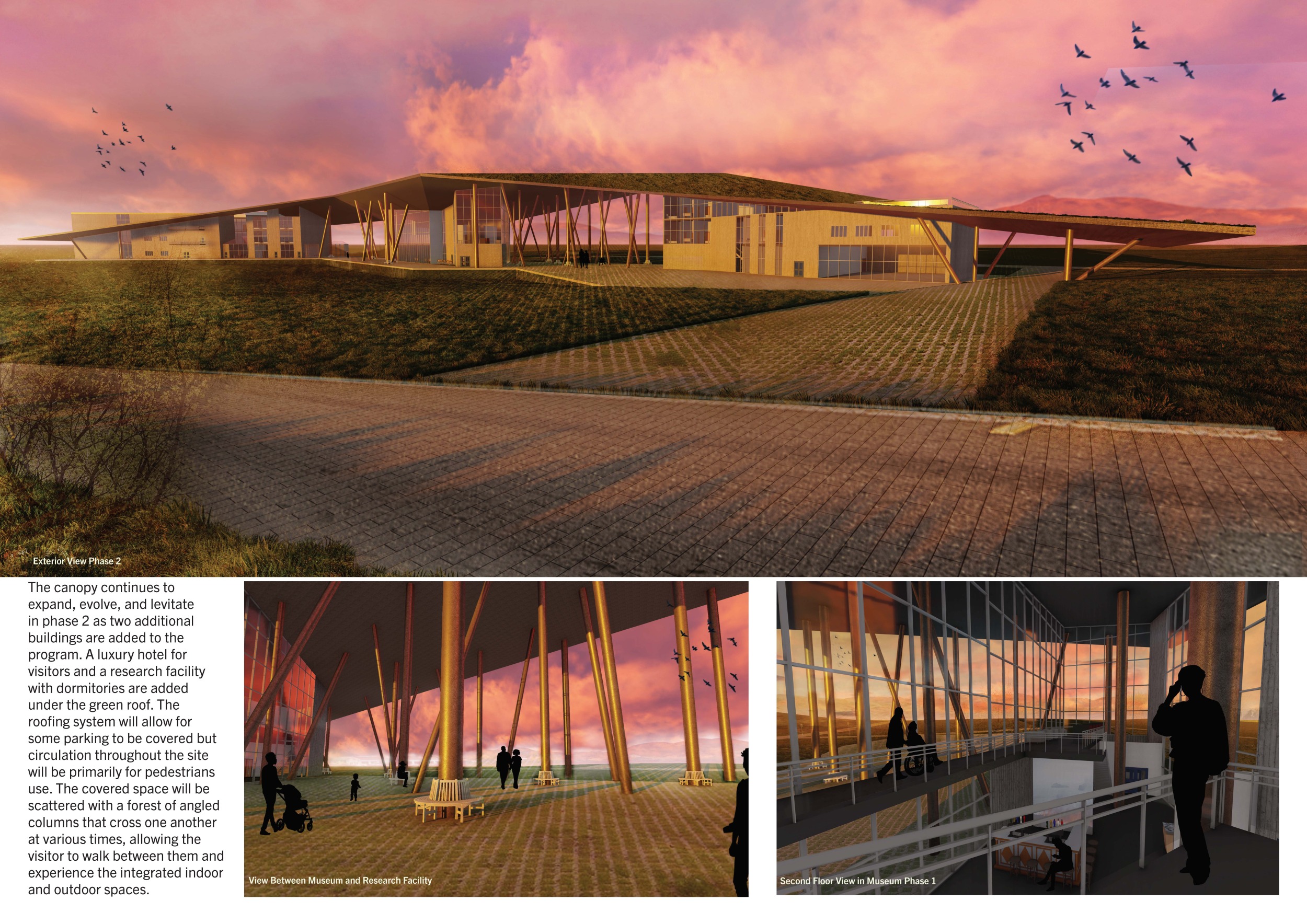 Architecture project // Canopy Structure with Green Roof Incorporating ...