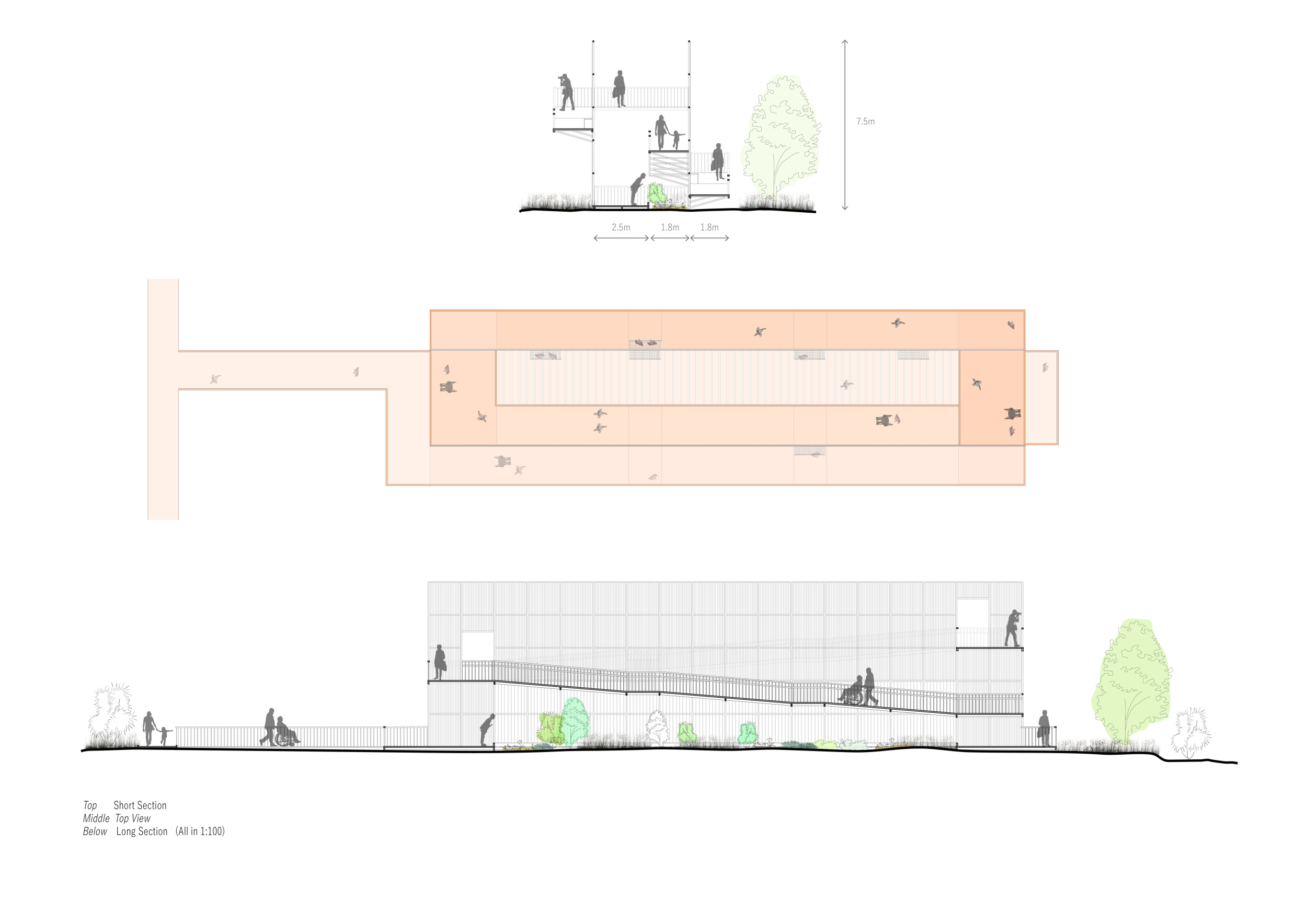 Architecture project // Meandering Pathways of Locally-Sourced Oak and ...