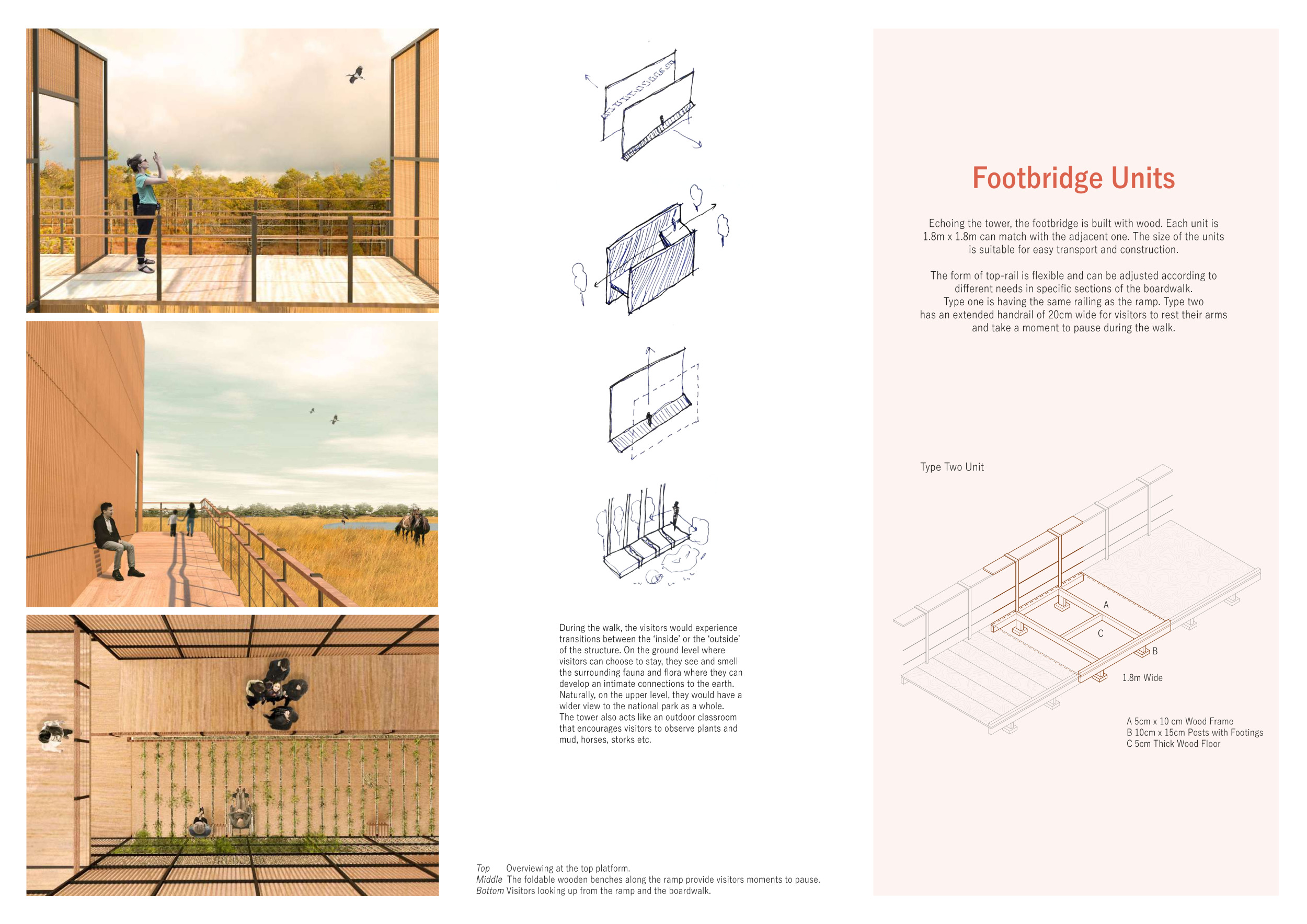 Architecture project // Meandering Pathways of Locally-Sourced Oak and ...