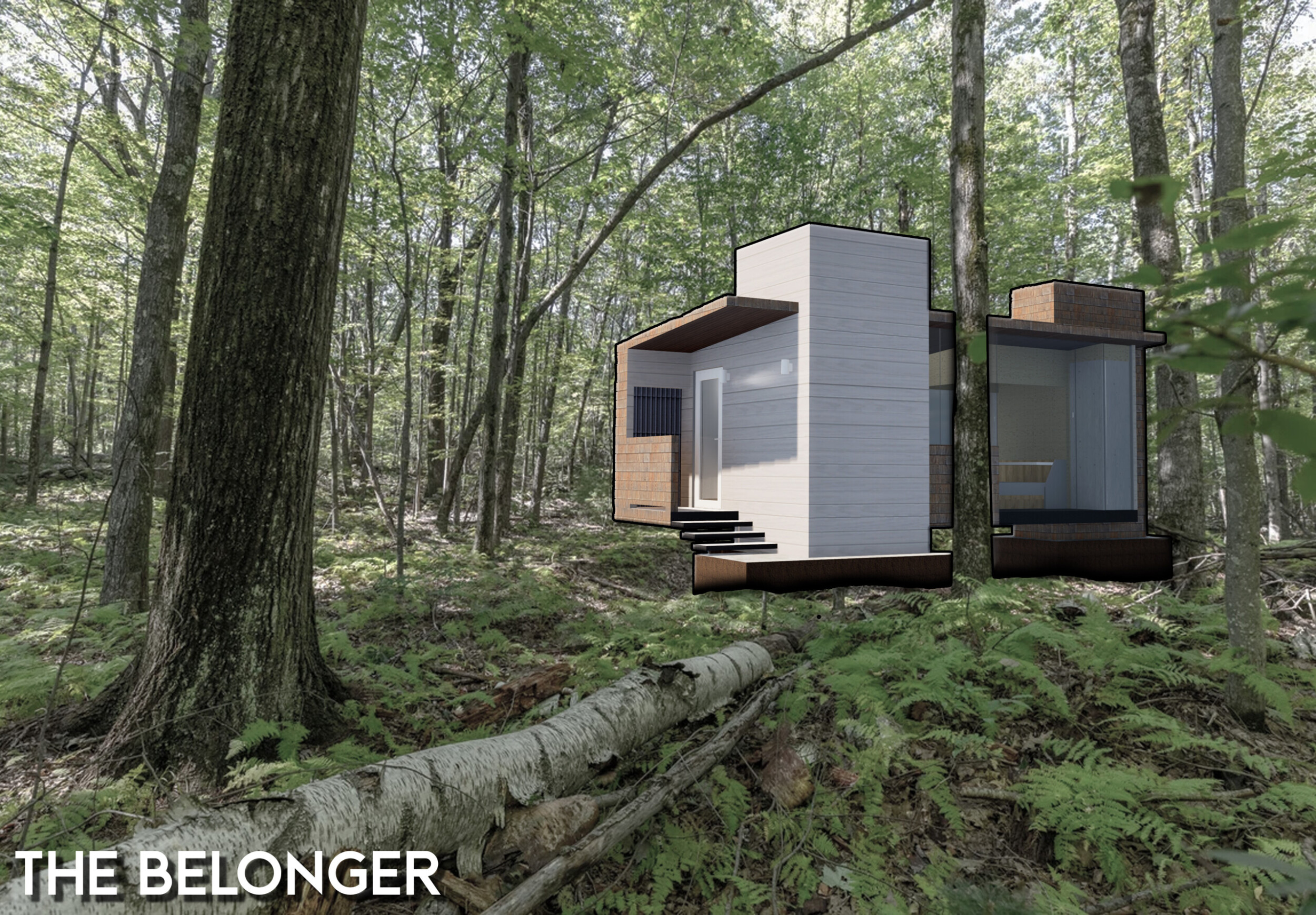 Architecture project // Cedar Cladding and Quadcore Panels Enhance a ...