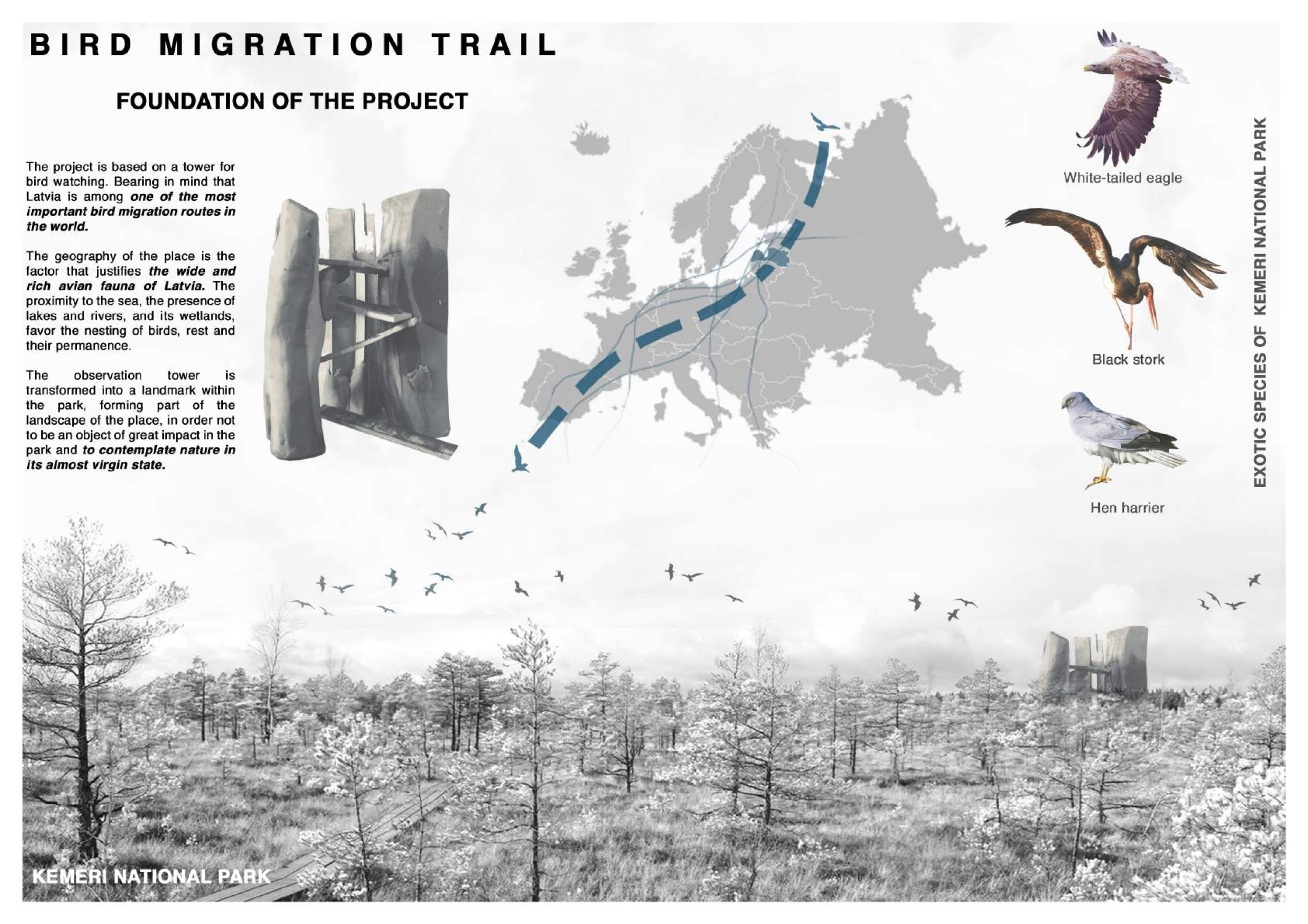 Architecture projects - bird species // Buildner