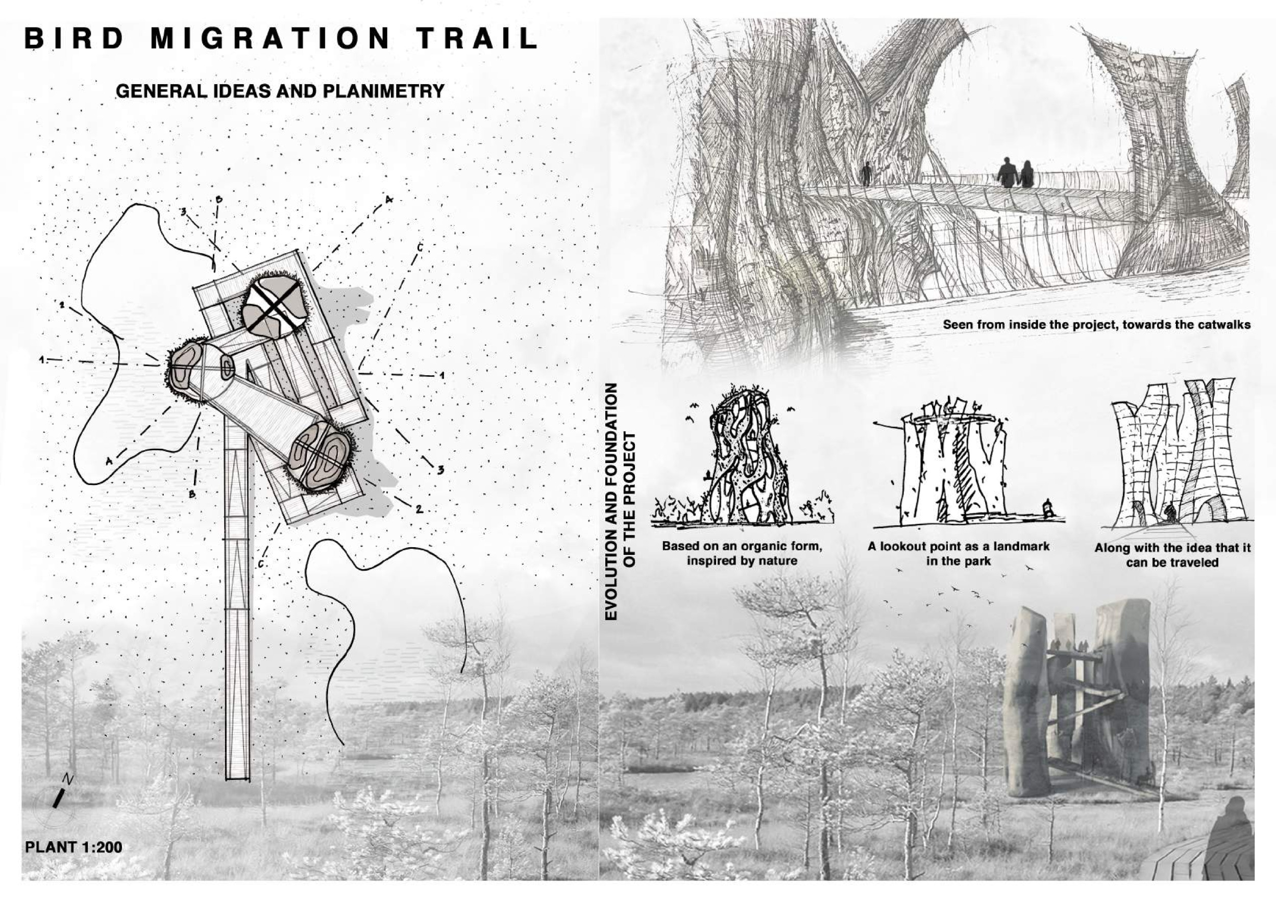 Architecture projects - bird species // Buildner