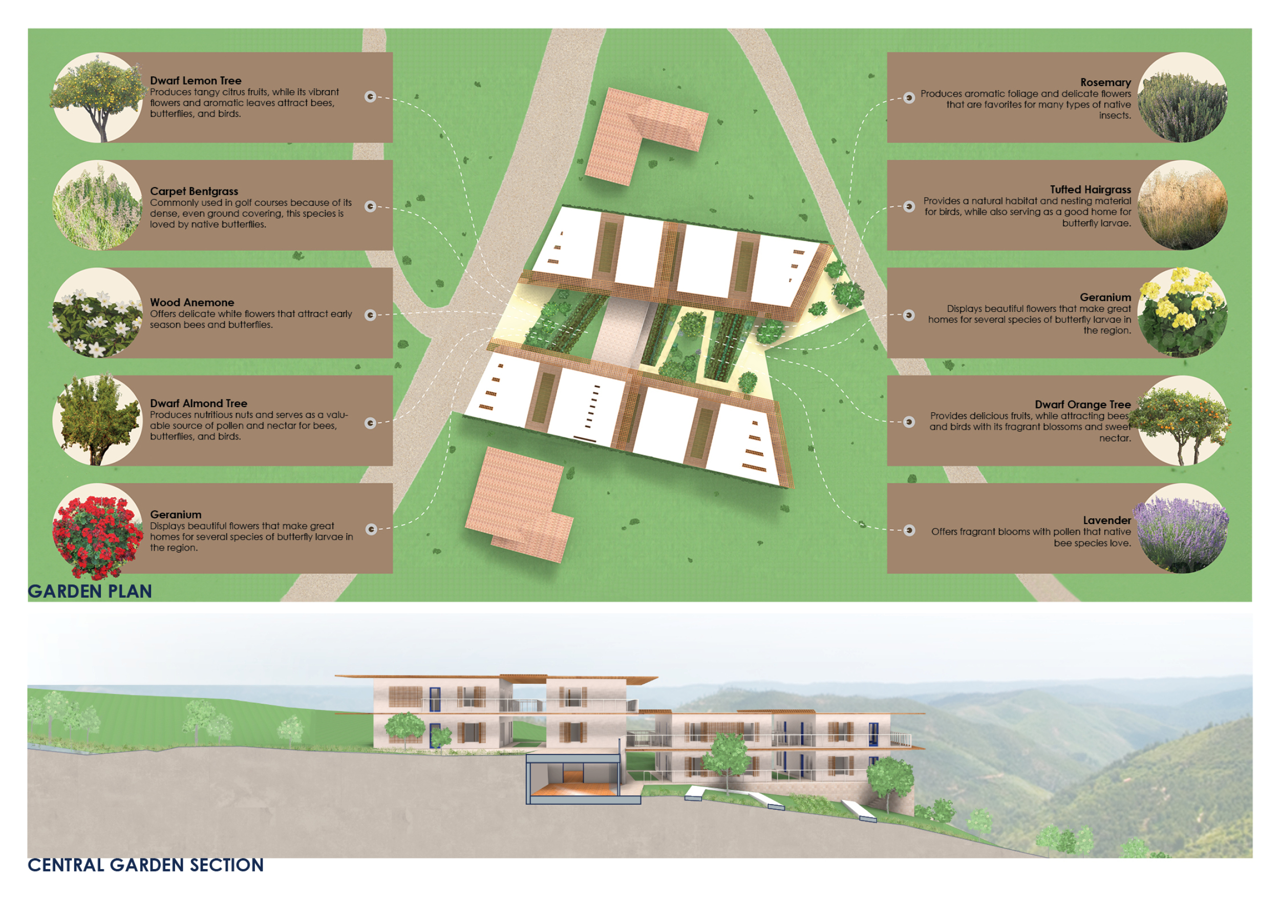 Architecture project // Geothermal Clay Walls and Natural Light Spaces ...