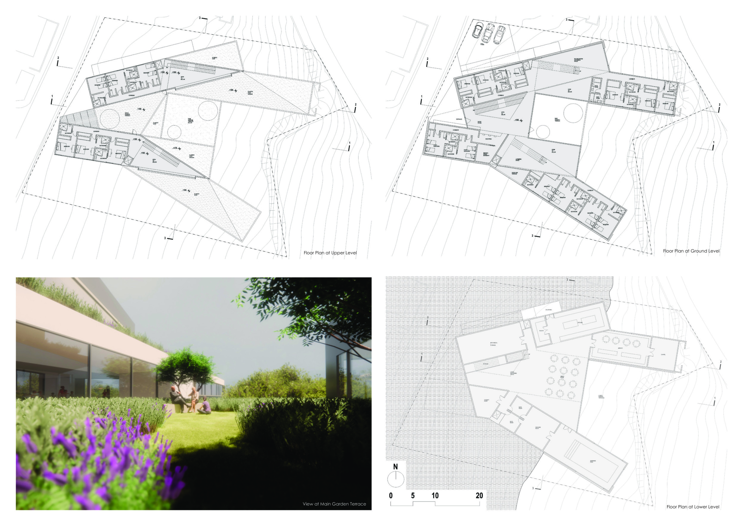 Architecture project // Natural Light and Green Roofs Enhanced by ...