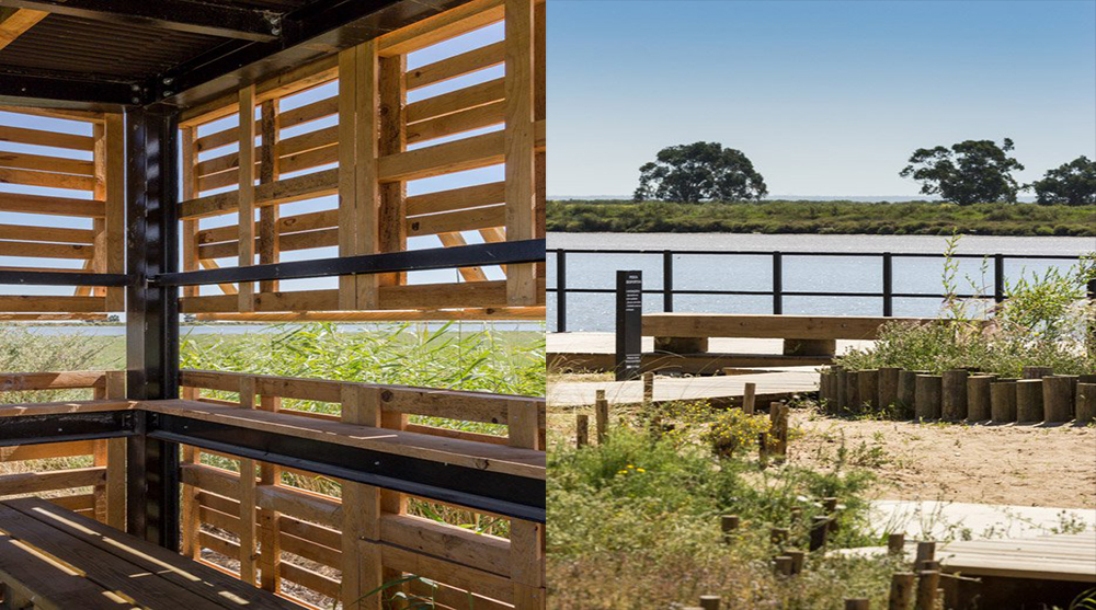 Inconspicuous Yet Effective Bird Observatories